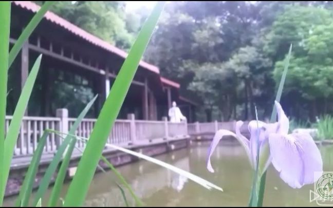 广东食品药品职业学院中药学院第二届中医药健康文化节微课大赛第一期