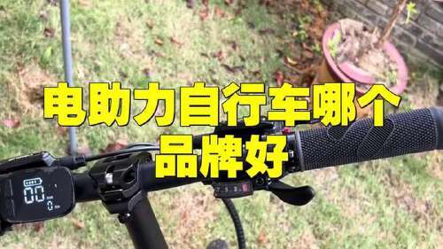 告别选择困难!2024最值得入手的电助力自行车品牌TOP5揭秘
