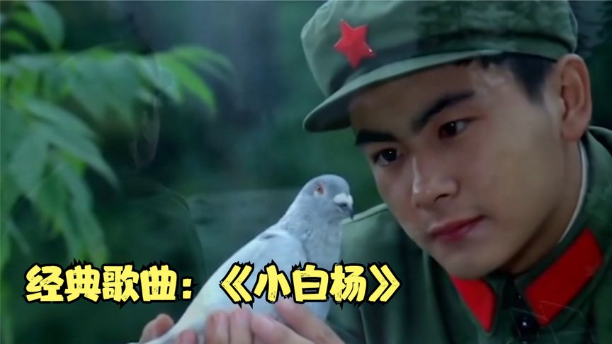 经典歌曲《小白杨》,一个哨兵的真实故事,进来听听吧~