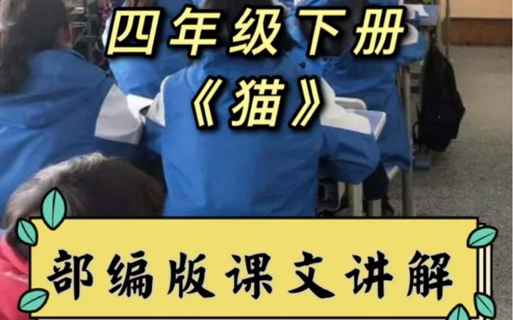 【1/100】是我滴神!快来听听面试第一怎么讲四下《猫》关关老师持续...