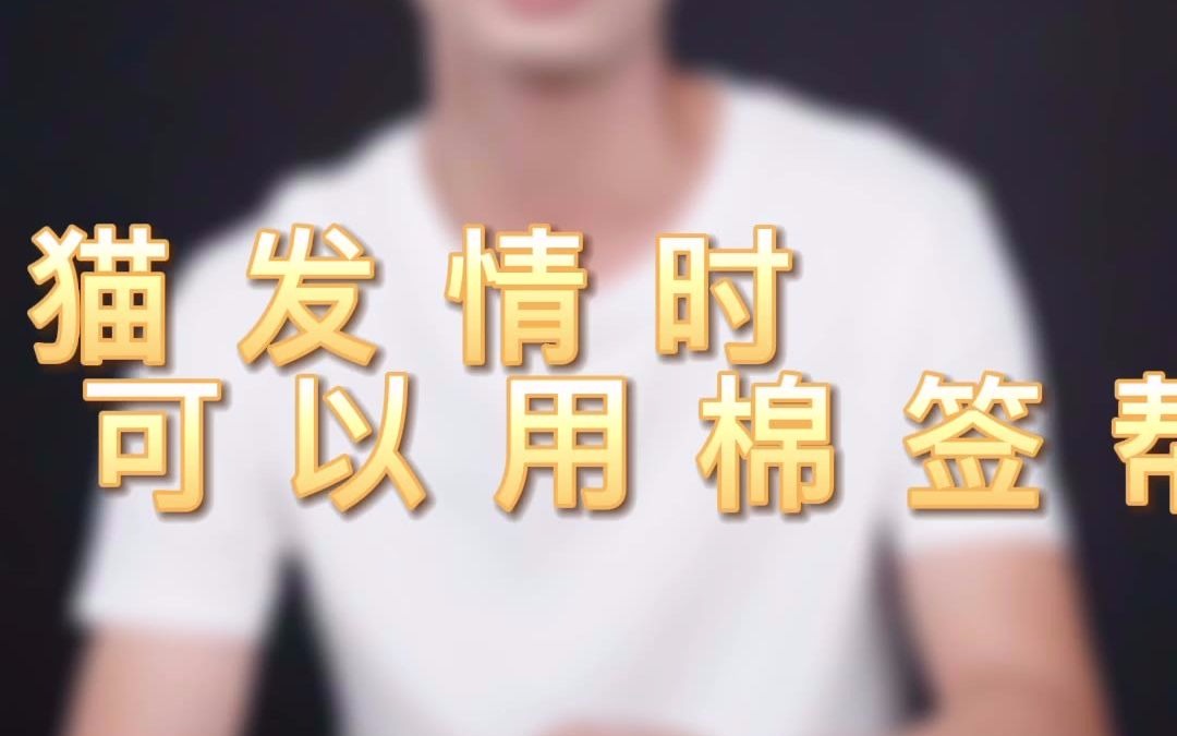 母猫发情可以用棉签帮她吗?