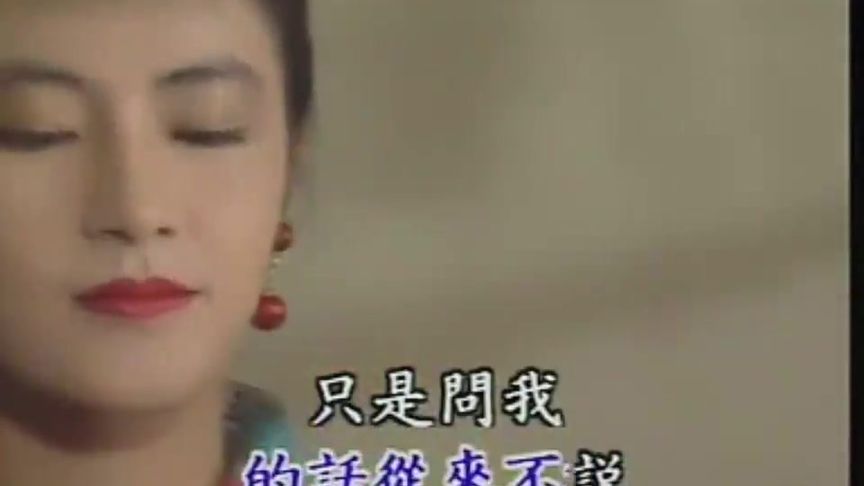 才女 左安安《你恋爱的样子很中国》