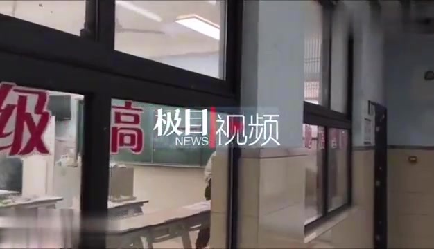 引导学生从细微之间窥见生命,武汉一高中举办"细胞模型展"