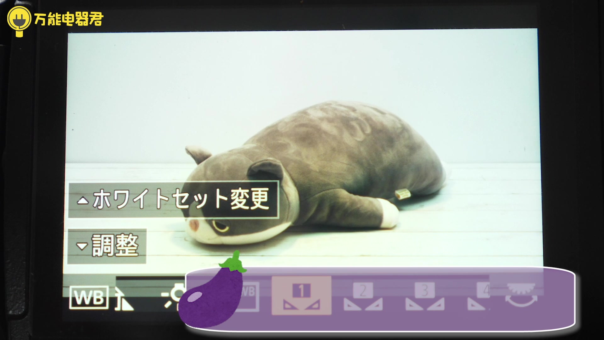 【单反入门】你还不知道快速调节白平衡的小诀窍吗?!