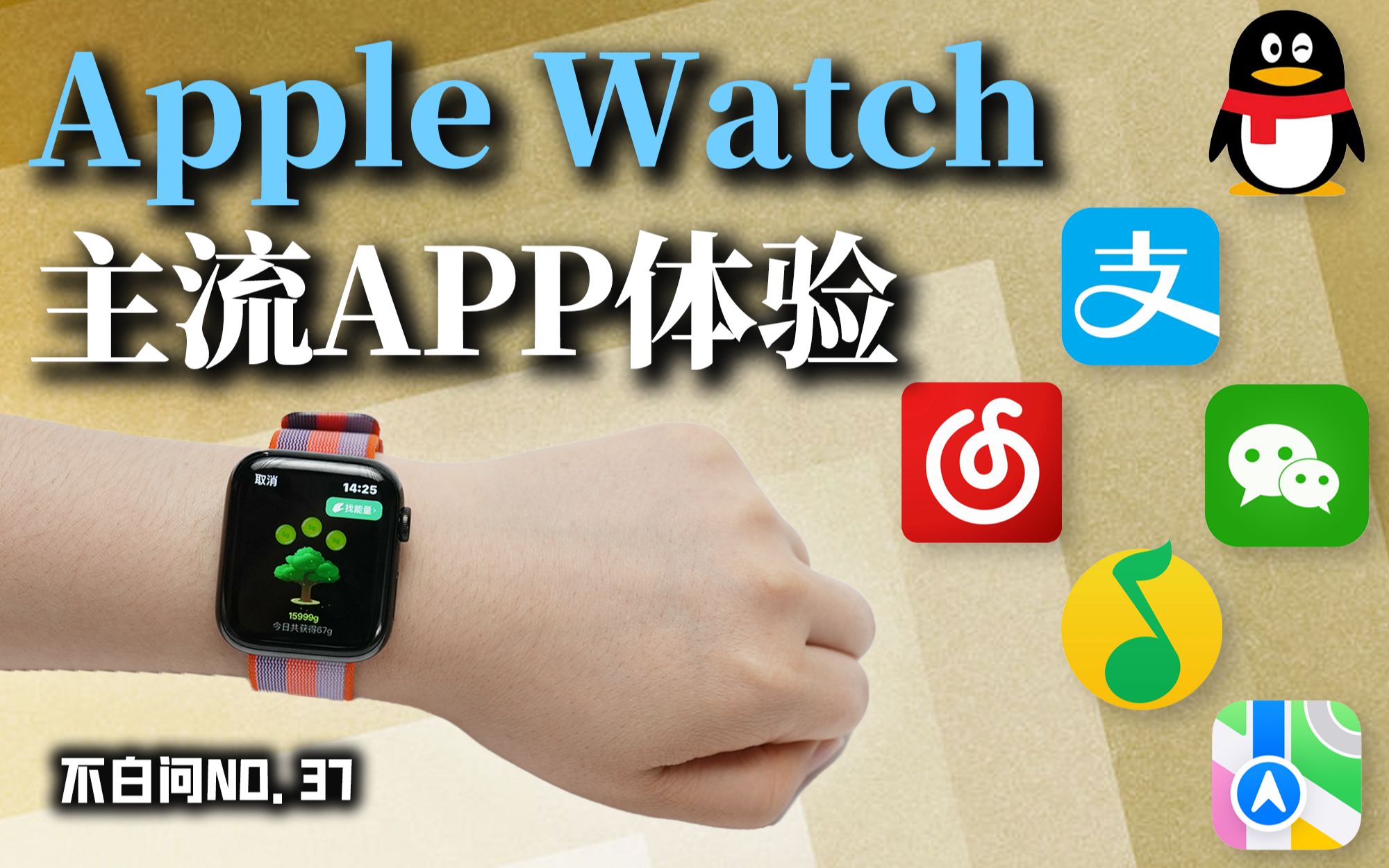 Apple Watch主流软件大体验【不白问37】
