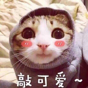 谢谢3Q阿里阿朵 