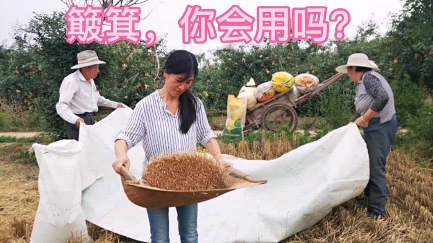 簸箕,农家必备工具。早上在城市发现有人带一簸箕