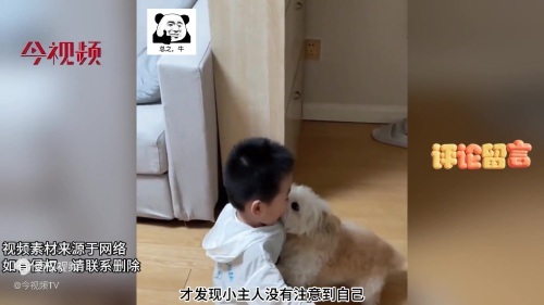 宝宝回来只记得看动画片,却忘记了狗子
