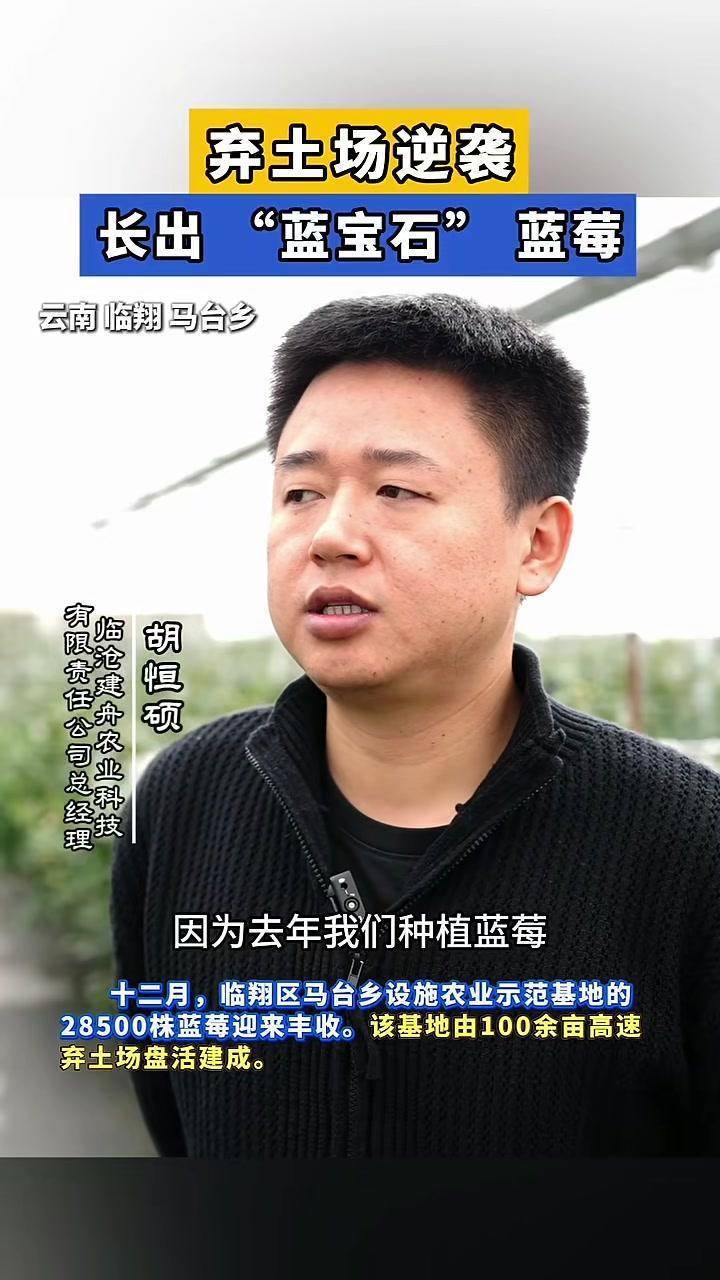 ...蓝莓,鼓起村集体"钱袋子"。(记者:张云凤梅新强李云双张珅璐唐永梅...