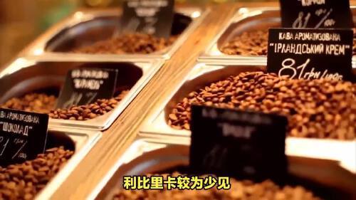 咖啡知识入门:如何快速分辨罗布斯塔和阿拉比卡?