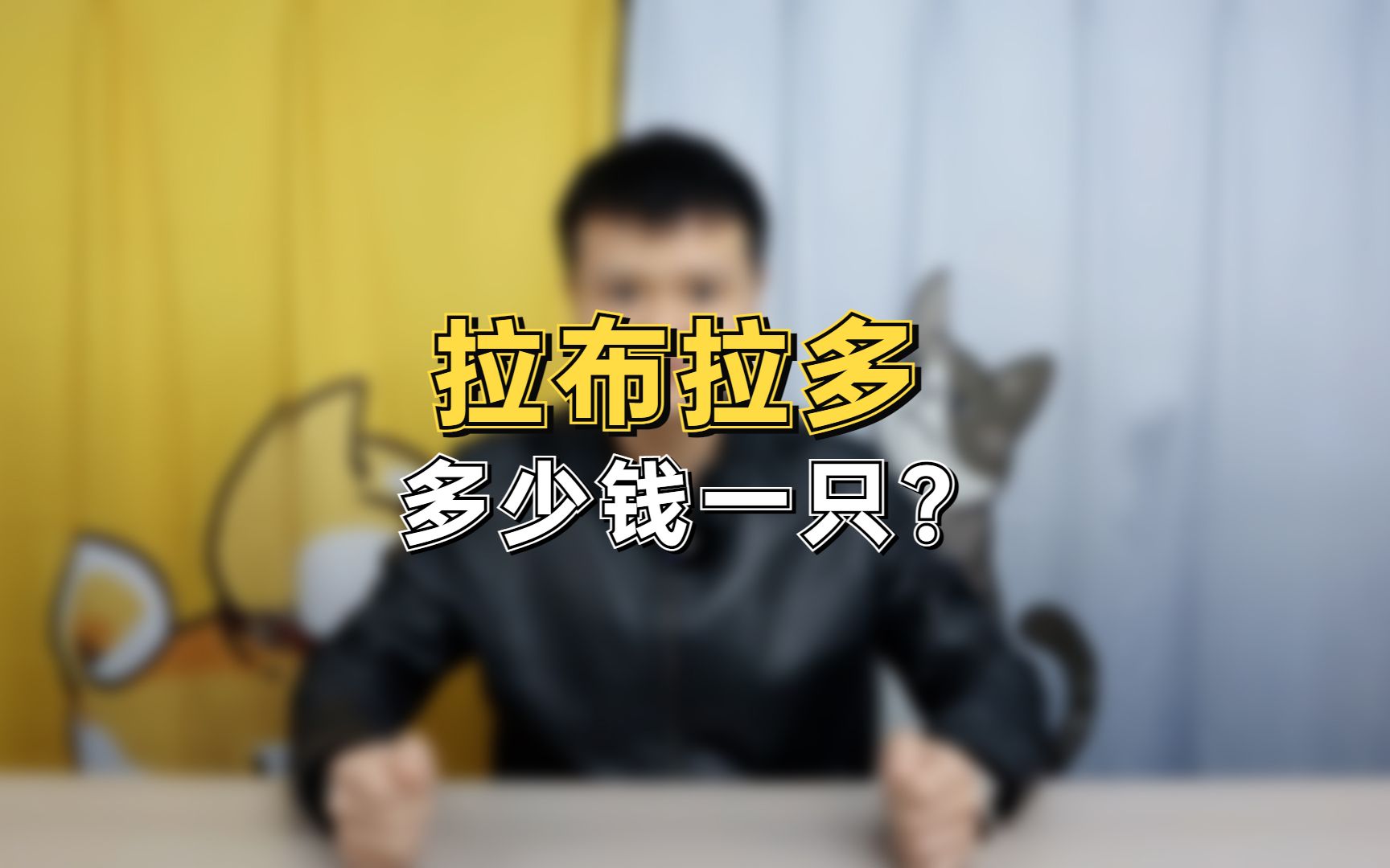 拉布拉多多少钱一只?