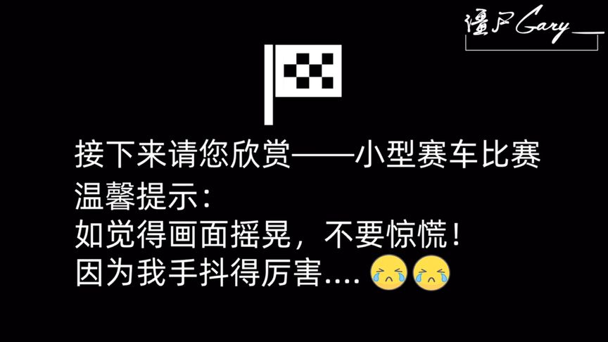 【定格动画】纯手工制作,看抖动就知道…