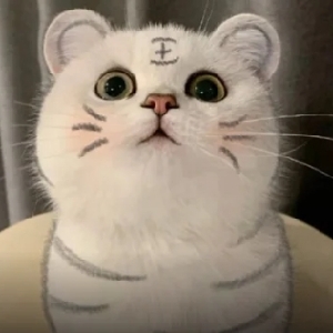 G西G 