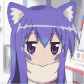 XannyCat 