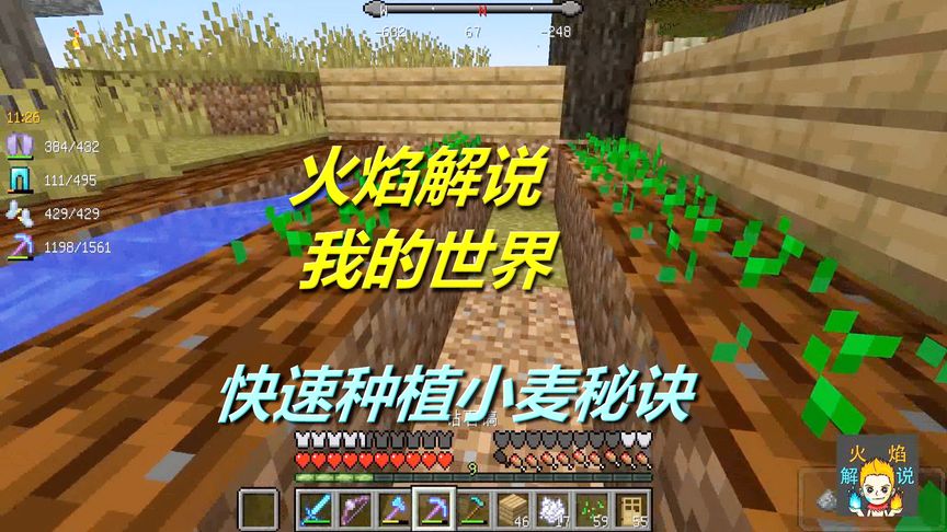 火焰解说 我的世界 4021 快速种植小麦秘诀