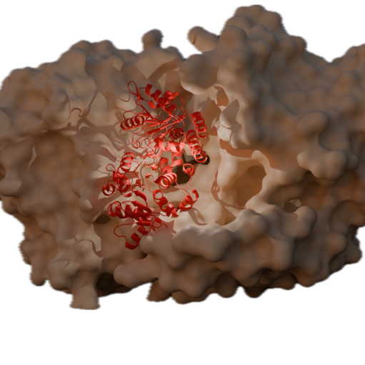 分子模拟工作室 