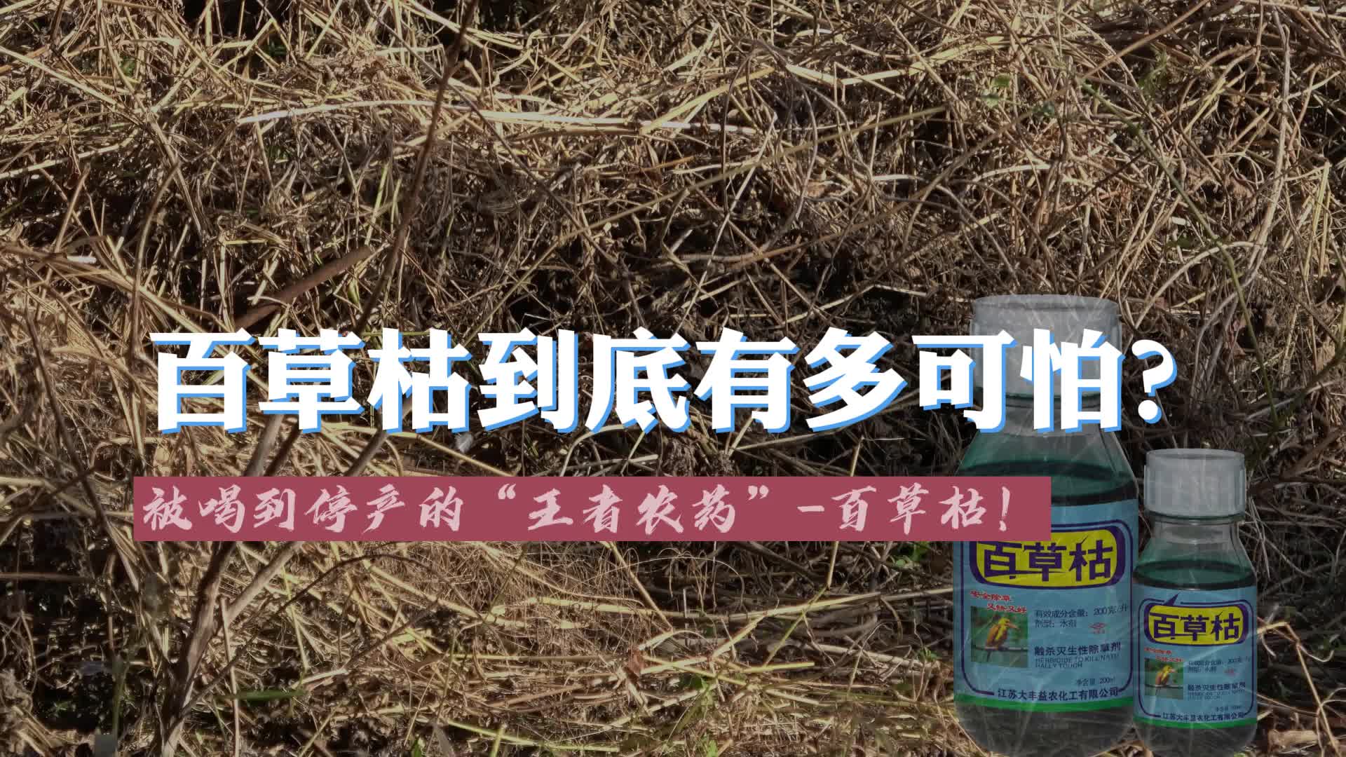 被喝到停产的“王者农药”百草枯,所到之处寸草不生,有多可怕!