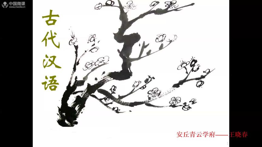 【语文微课】古今词义的异同(王晓春)
