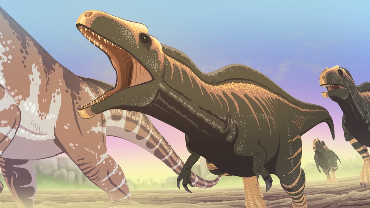 恐龙帝国动画剧集 | 第二季|官方预告|Dinosauria Volume 2