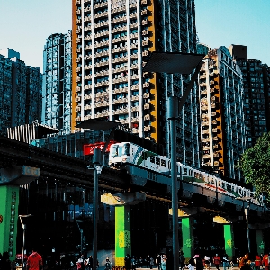 愤愤艺树家 
