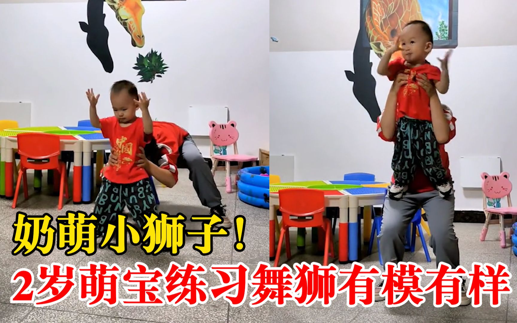 奶萌小狮子!2岁萌宝学父母练舞狮有模有样,妈妈:模仿我们练习