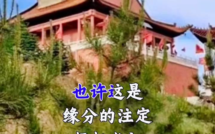依然爱你 音乐分享