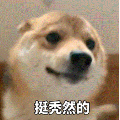 bilbil一栋小房子 