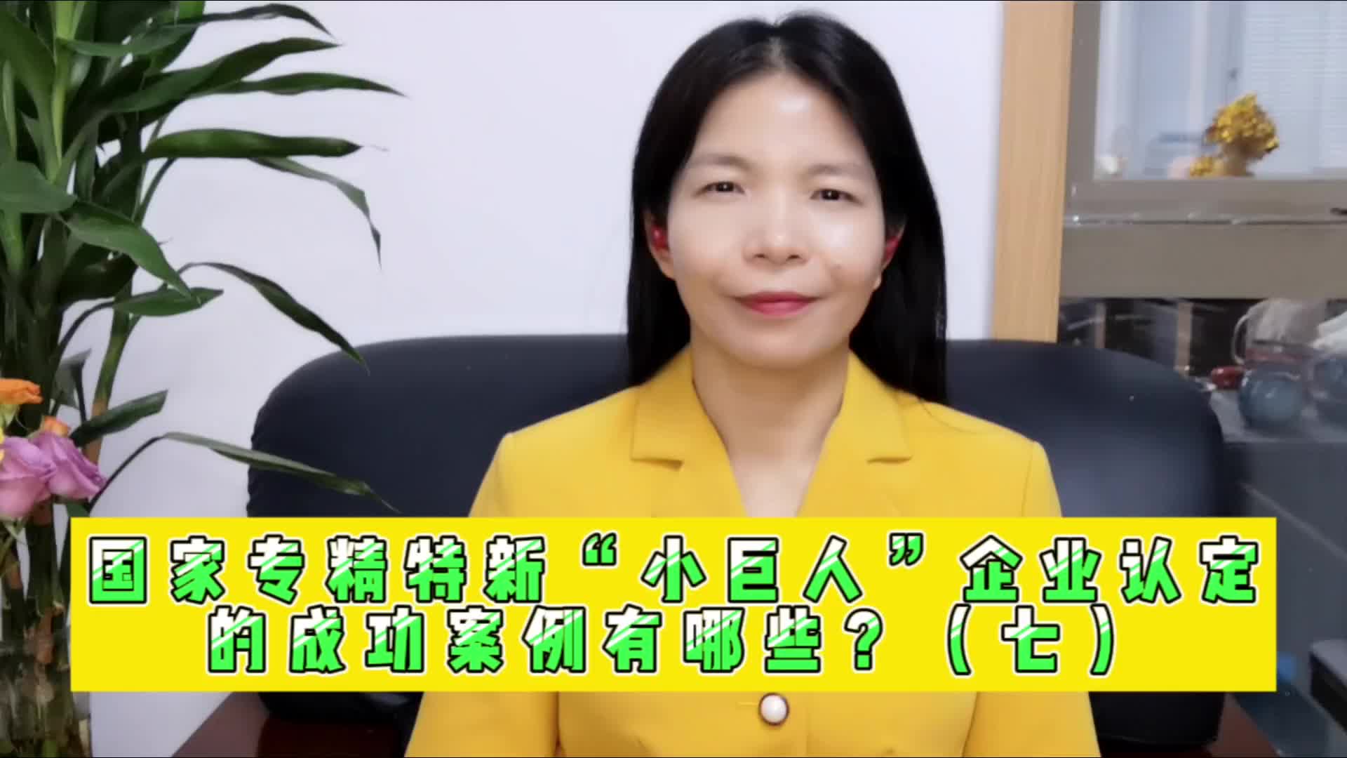 国家专精特新小巨人企业认定的成功案例有哪些7