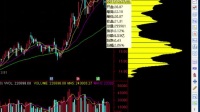 从盘口判断庄股异动的真正含义