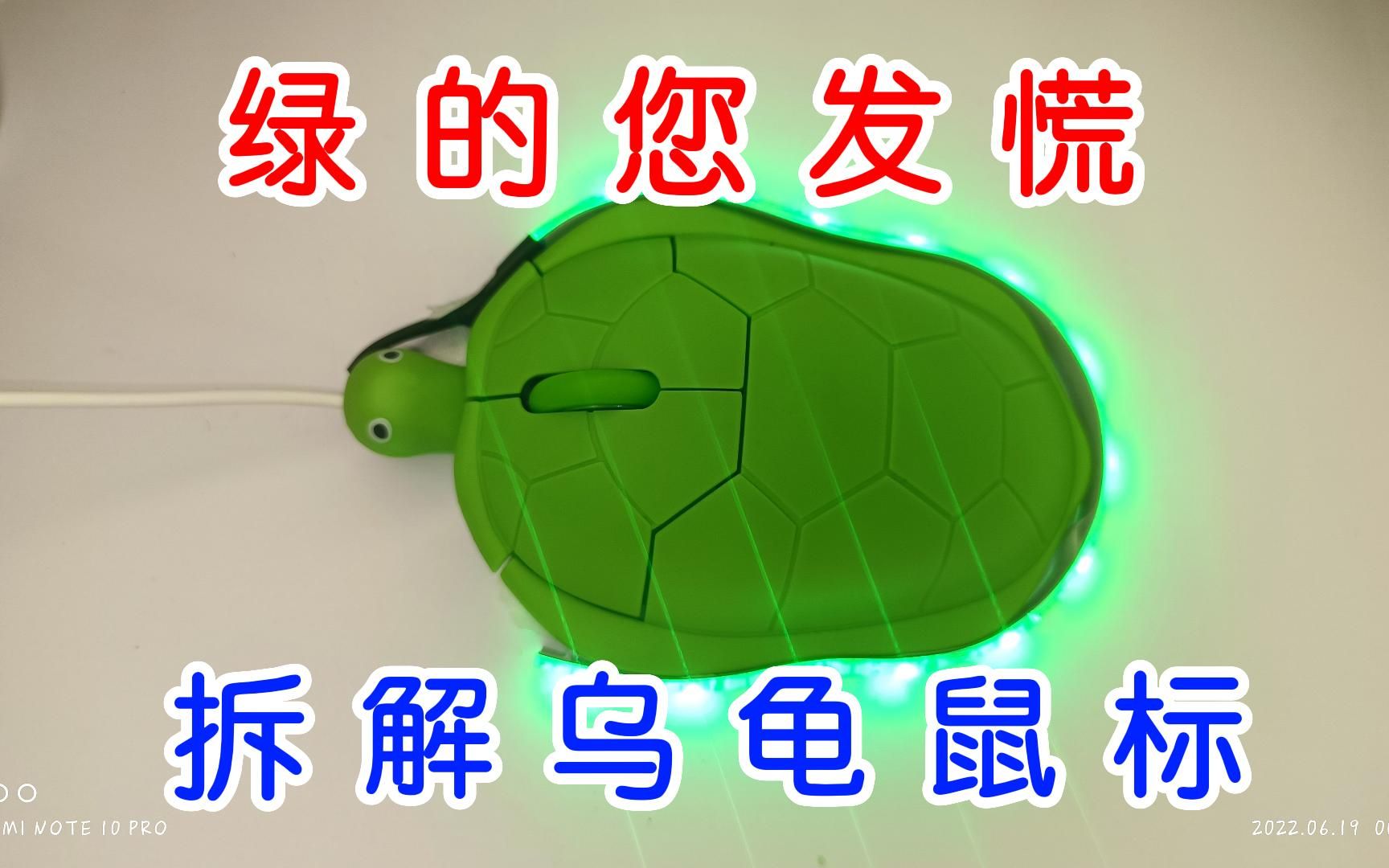 拆解绿的您发慌的乌龟鼠标,了解一下鼠标的内部结构和工作原理