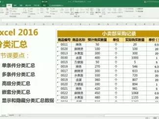 excel教程下篇: 分类汇总的讲解, 高级分类汇总和嵌套分类汇总