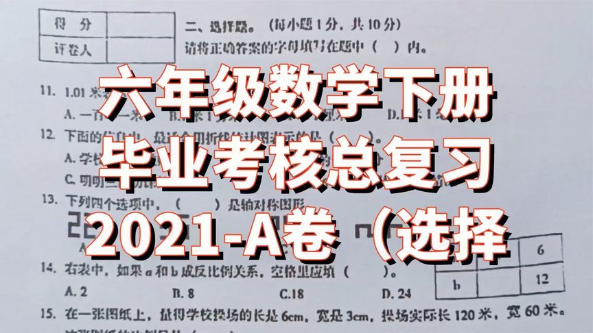 六年级数学下册 毕业考核总复习 2021-A卷(选择题