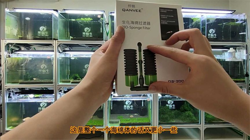 饲养水晶虾对仟锐水妖精QS200A过滤器测评