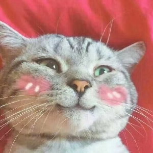林昜文火 