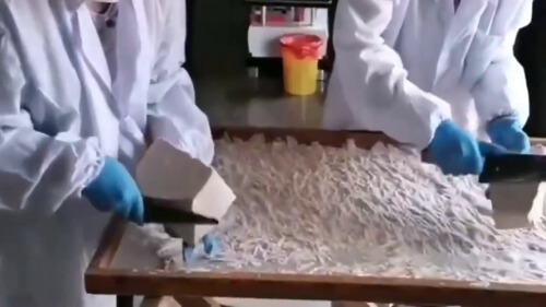 刀工不过关根本进不了广东这个厂,都是大师级别的手艺!