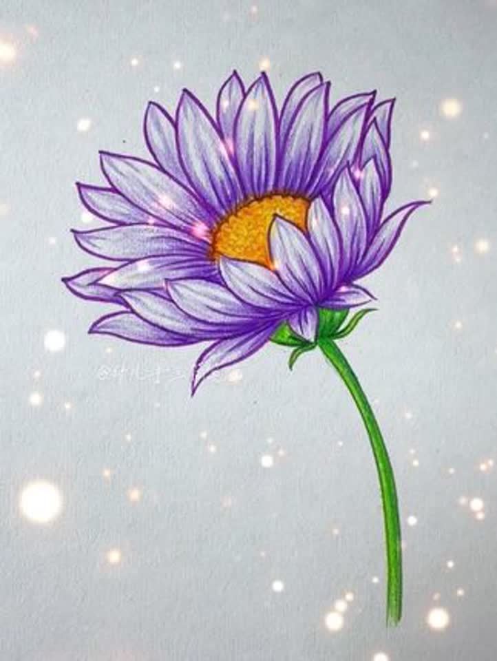 椭圆加弧线教你画花朵,简单又好看 #儿童简笔画 #彩铅画 #简易花草...