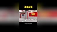福建生命安全教育体验馆消防模拟灭火培训禁毒交通行走平台