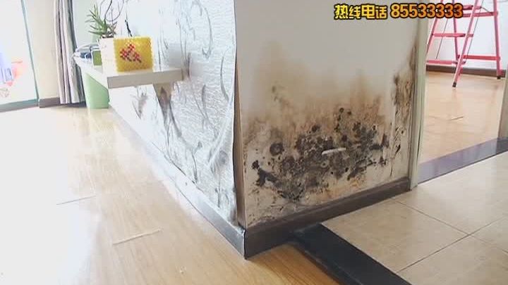 主水管漏水造成巨大损失 物业只换管道不赔偿 是应该的吗
