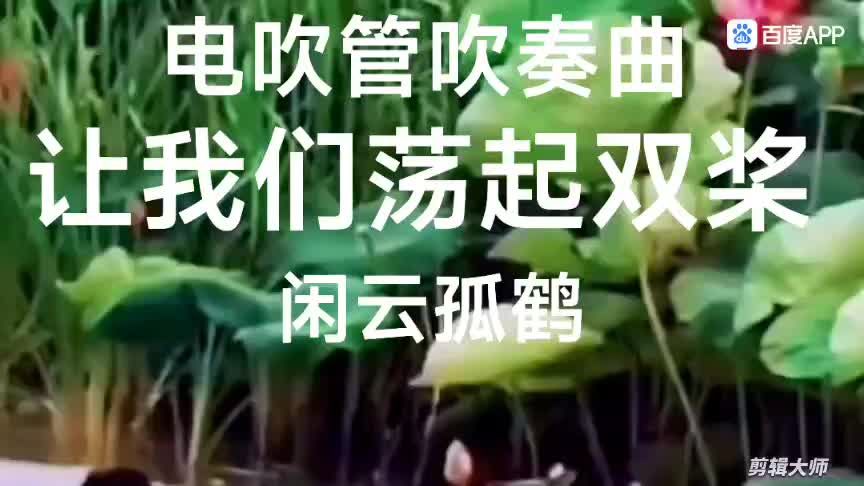 让我们荡起双桨电吹管吹奏曲