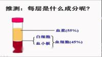 66.流动的组织——血液