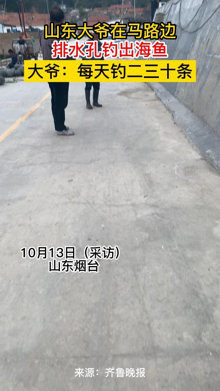 大爷用简陋鱼竿在雨水排水管成功钓海鱼:每天钓二三十条
