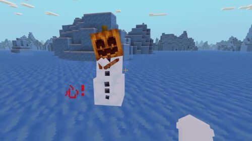 为生物添加了动作会有多可爱呢!