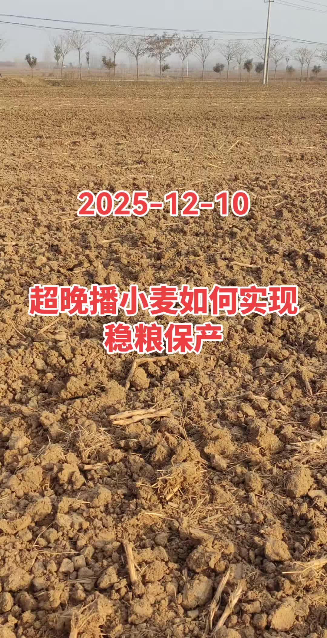 不提增产增收,就说如何确稳保粮保少减产。#金五环作物种植方案
