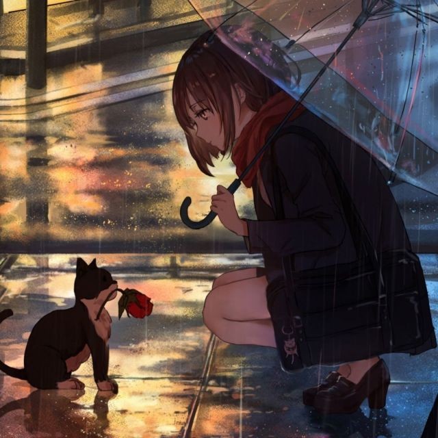 22408不上岸不改名 