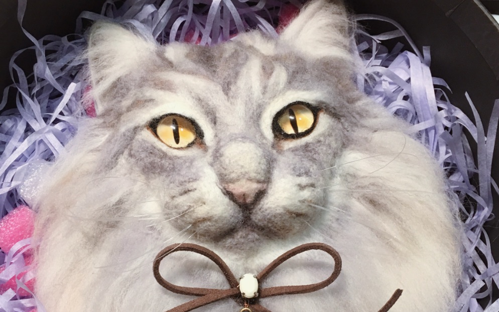 羊毛毡猫咪教程,如何从头戳一只喵