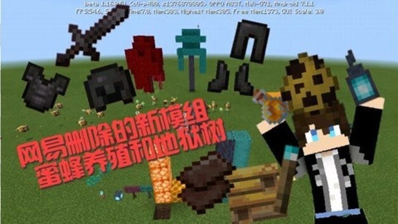 我的世界网易删除的mod蜜蜂养殖和地狱新面貌,当时我都懵逼了