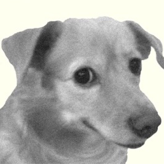 你好凯蒂兰姐姐 