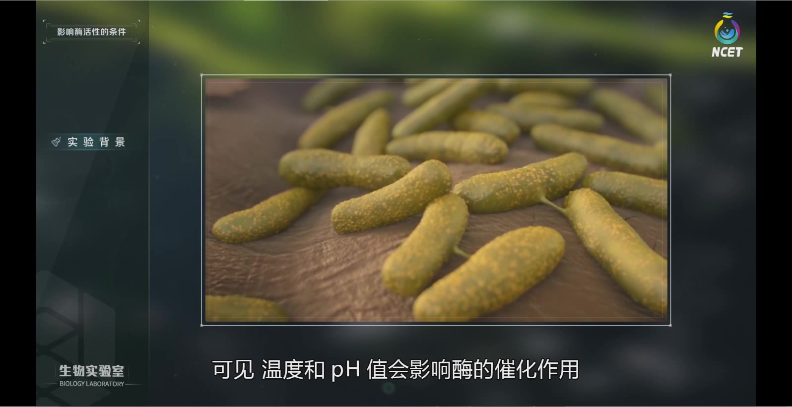 高中生物新教材-超清实验专题:8.影响酶活性的条件