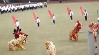 南海中学2011校运会开幕式——舞狮表演