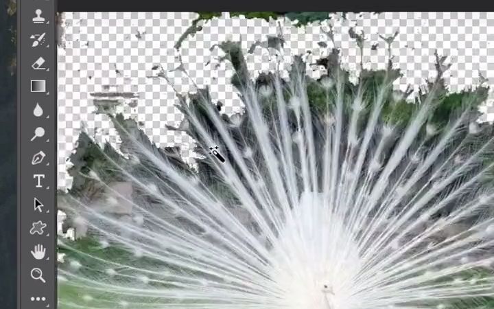 教你如何抠复杂毛发动物